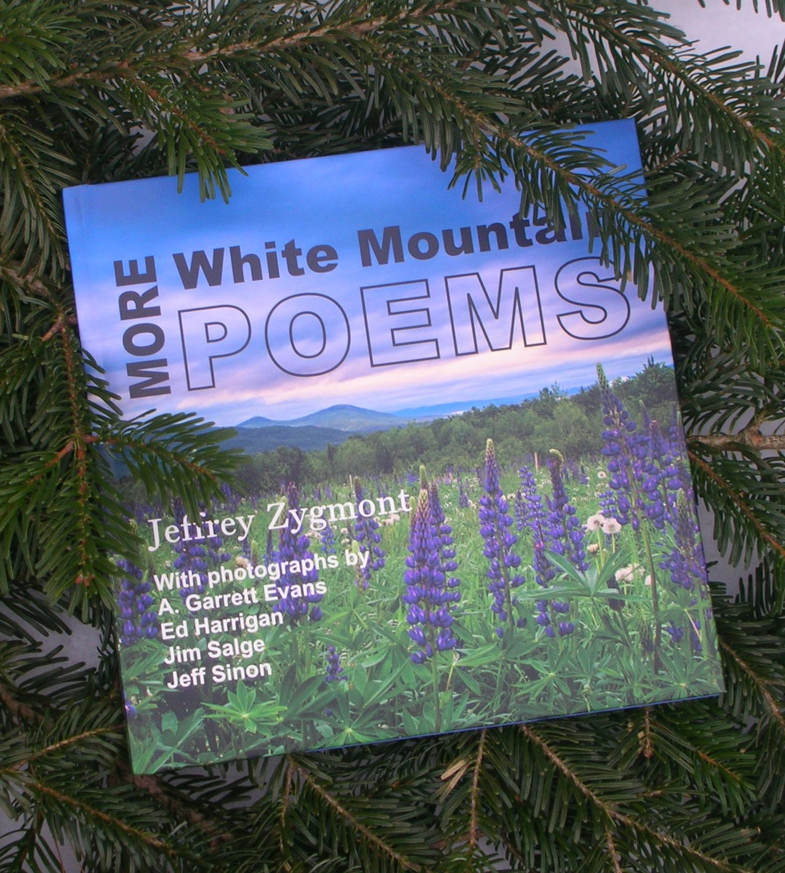 More White Mountain Poems – Jeffrey Zygmont